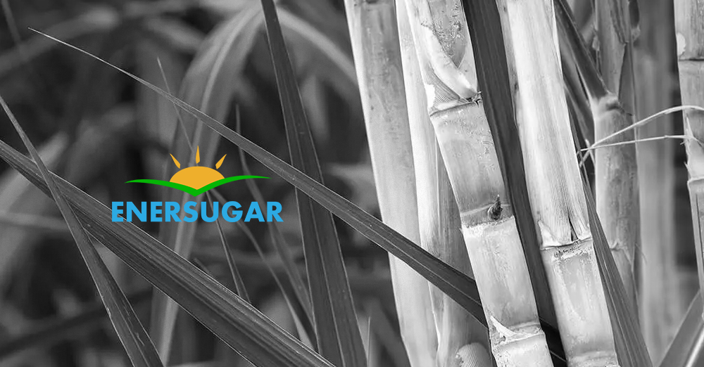 Enersugar